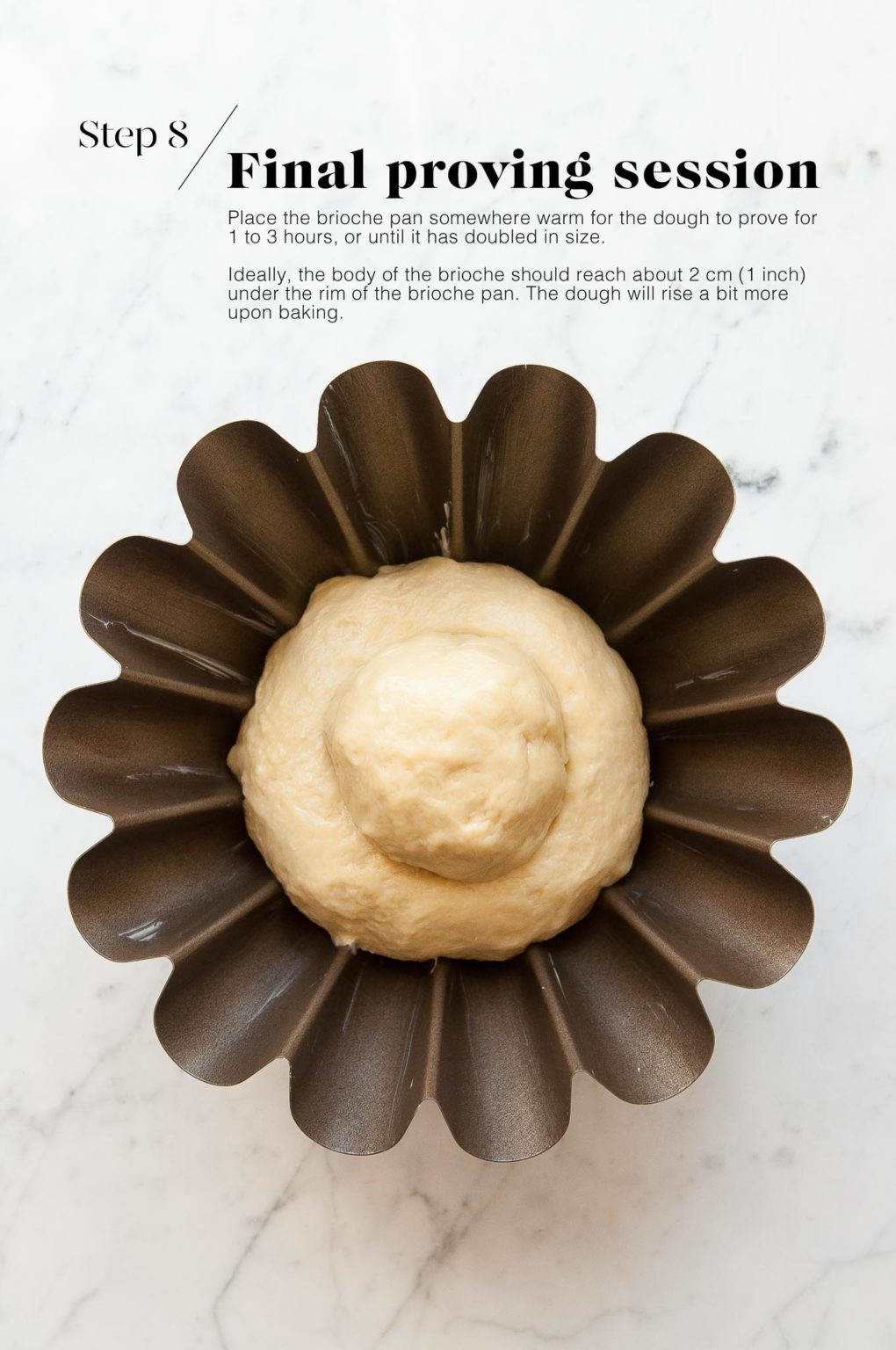 Brioche Recipe with step-by-step photos | Eat, Little Bird
