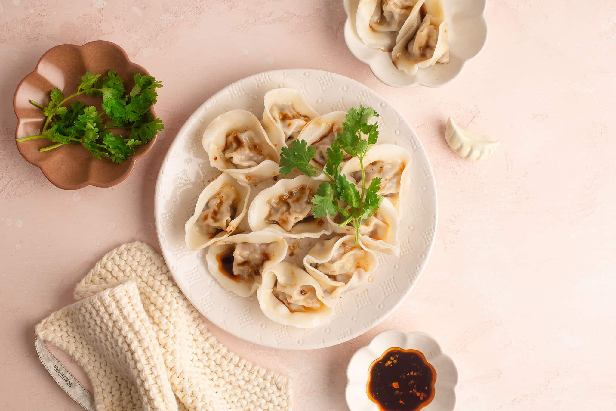 Chinese Chicken Dumplings – Eat, Little Bird
